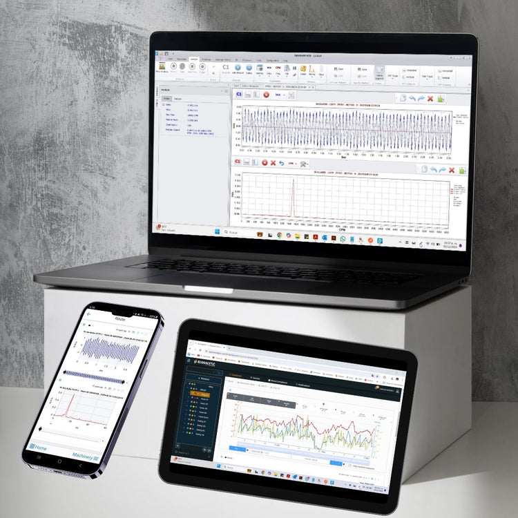 Vibration Analysis software – Erbessd Store